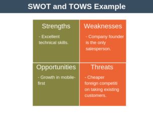 TOWS Matrix Analysis | Strategy Training from EPM