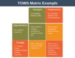 TOWS Matrix Analysis | Strategy Training from EPM