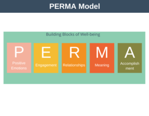PERMA Model of Well-being - Personal Development Training