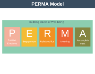 PERMA Model of Well-being - Personal Development Training