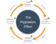 The Pygmalion Effect Explained - Expert Program Management
