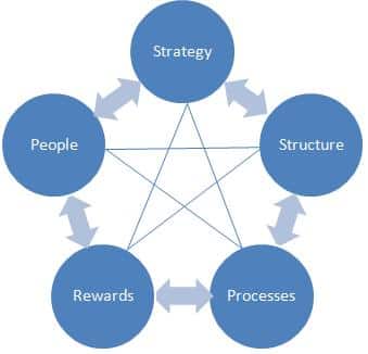 Organizational Design – Star Model - Expert Program Management