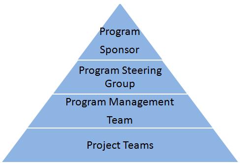 The Program Sponsor - Expert Program Management